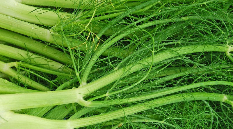 A nova funchicórea - Agora Sou Mãe - Blog Sobre Maternidade